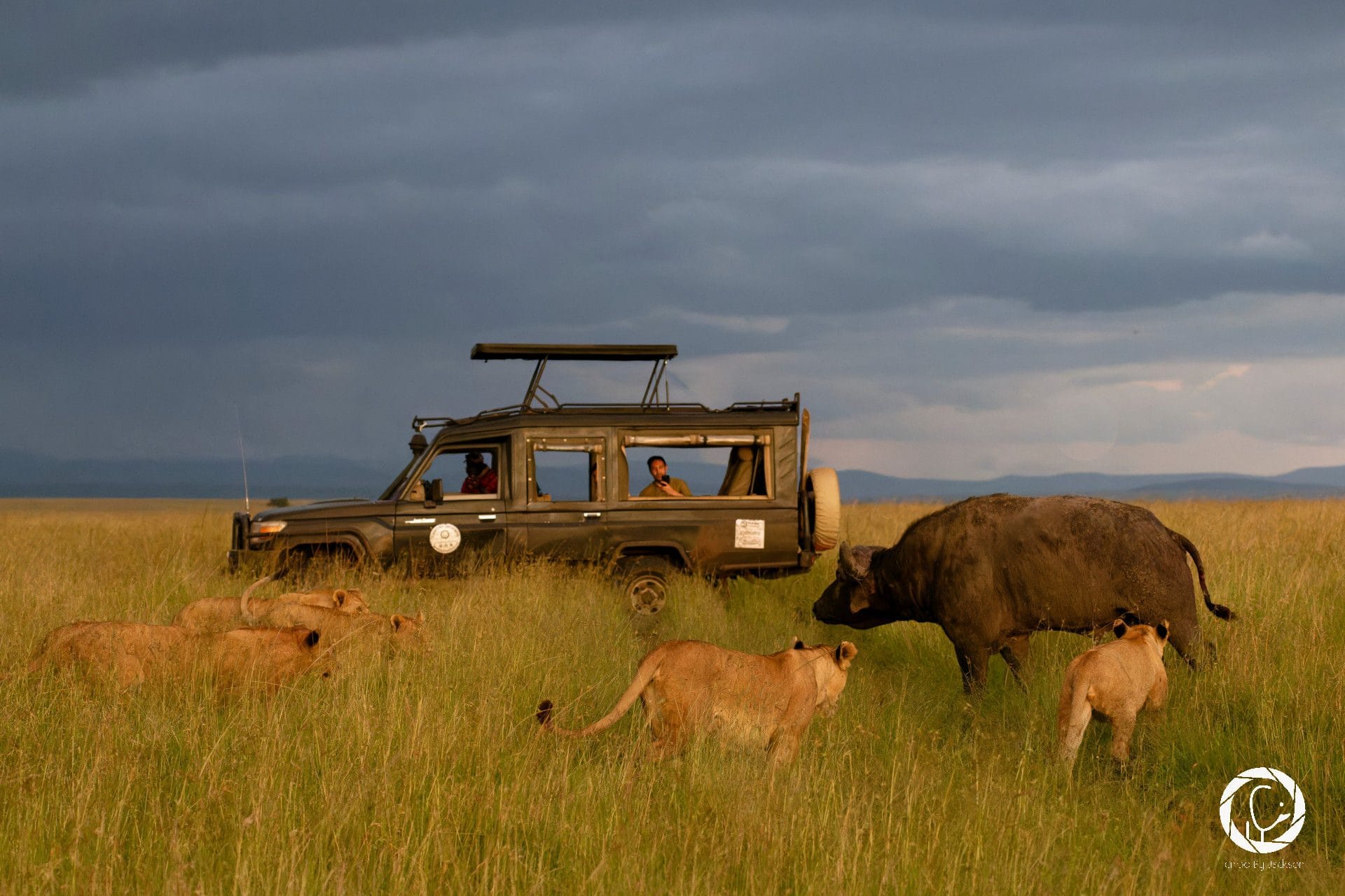 Tembo By Jackson – Masai Identity