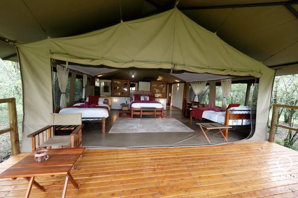 Tembo By Jackson Bush Camp – Tembo By Jackson